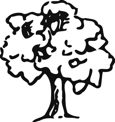 Tree Outline Clip Art At Clker Com Vector Clip Art Online Royalty