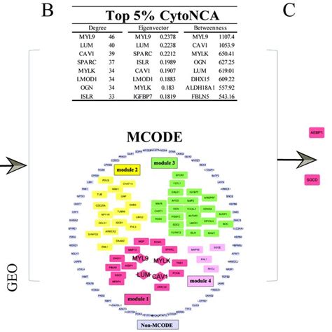 The Molecular Complex Detection Mcode Components Of The Download