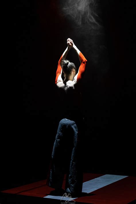 Reverse Discourse Ioana Marchidan