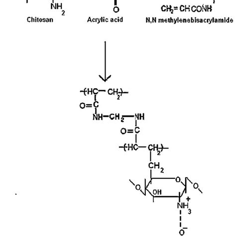 Semi Interpenetrating Polymeric Networks Of Cs Aa Hydrogels Download Scientific Diagram