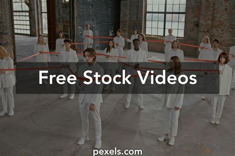 Unity And Harmony Lines Videos Download The Best Free 4k Stock Video