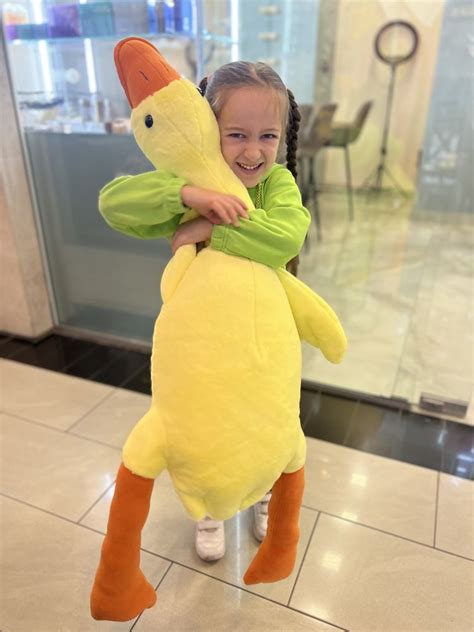 ГУСЬ ОБНІМУСЬ іграшка гусь мʼякий гусак 510 грн Мякі тварини Степова на Olx