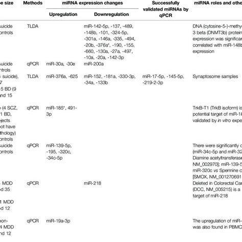 Long Non Coding Rna Biogenesis And Functions Long Non Coding Rnas