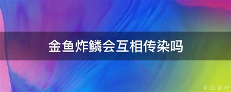金鱼炸鳞会互相传染吗 业百科