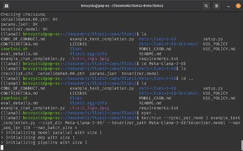 Running Meta Llama On Linux Llama Everywhere