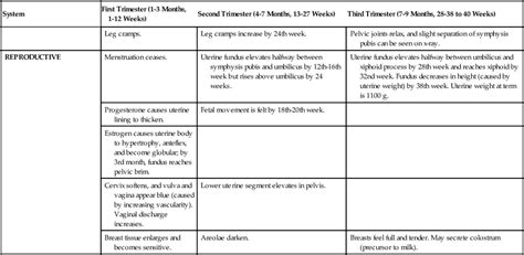Gynecologic And Obstetric Surgery Basicmedical Key