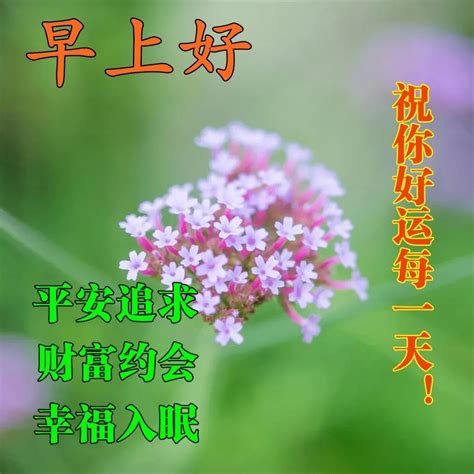 微笑迎接新的一天的图片 微笑迎接崭新的一天图片 配图网