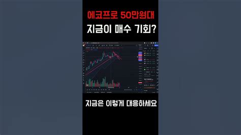 에코프로 지금은 이렇게 하시면 됩니다 Youtube