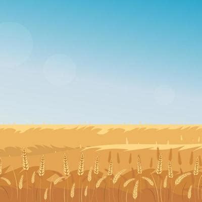 Wheat Background Vector Art Icons And Graphics For Free Download