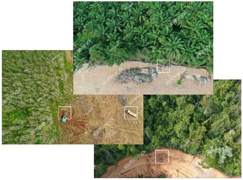 Machine Learning For Preventing Deforestation By Daniel Moraite Dataseries Medium