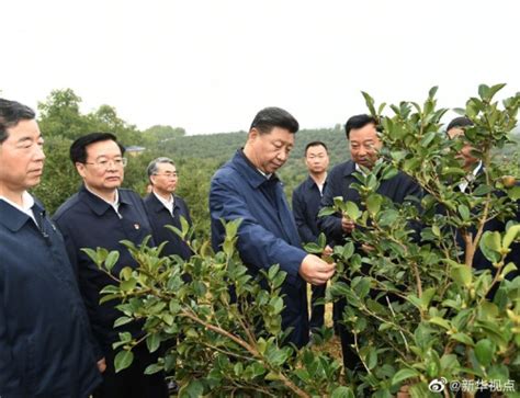 土特产里有大乾坤盘点习近平在田间地头的考察瞬间 独家稿件 人民网