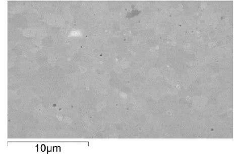 Typical Microstructure Of Dense Hfb 2 Download Scientific Diagram