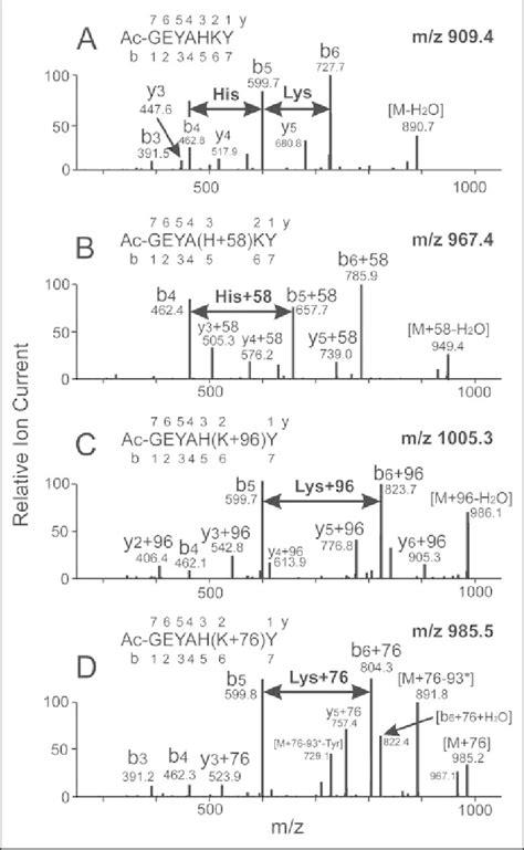 LC ESI MS MS Analysis Of Peptide HK Exposed To Acrolein Peptide HK Download Scientific Diagram