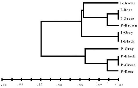 Upgma Cluster Analysis Of Five Morphs From Two Populations Of P Download Scientific Diagram