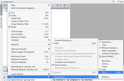 Idea中git远程版本回退 锁爷 博客园
