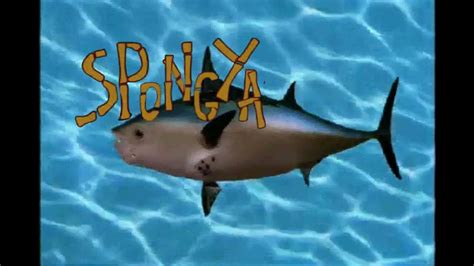 Spongebob Squarepants Intro Hungarian Localized Youtube