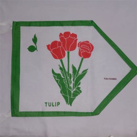 Detail Bunga Lily Pramuka Koleksi Nomer 20