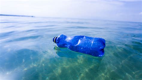 The Harmful Effects Of Single Use Plastics On The Environment Blogs