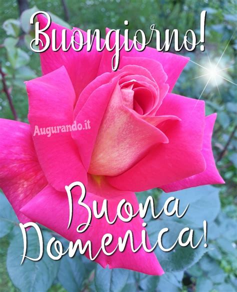 Immagini Fantastiche Per Una Buona Domenica