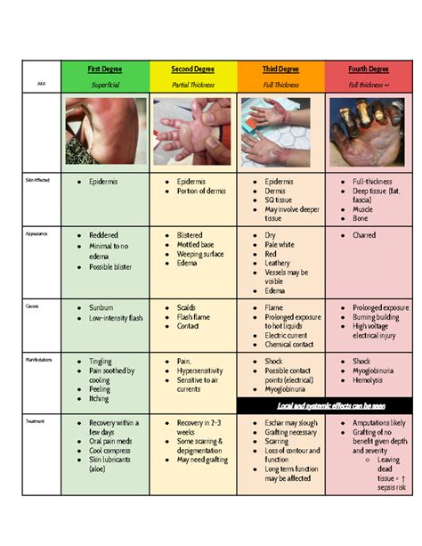 Burns Chart Overview And Classification Of Burn Degrees Studocu