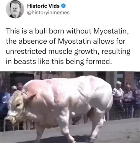 Myostatin Related Muscle Hypertrophy