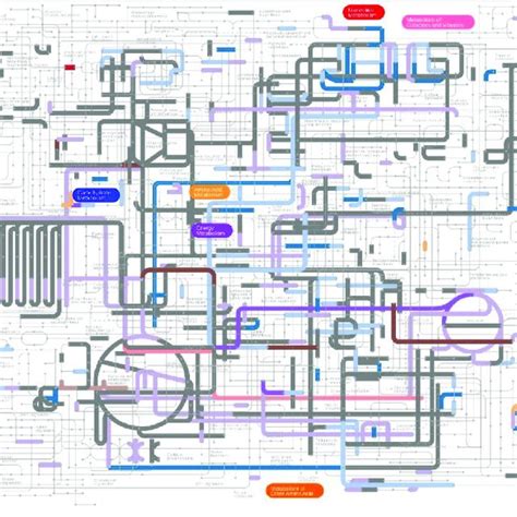 Distribution Of Bacterial Functions In The Metabolic Pathway Map