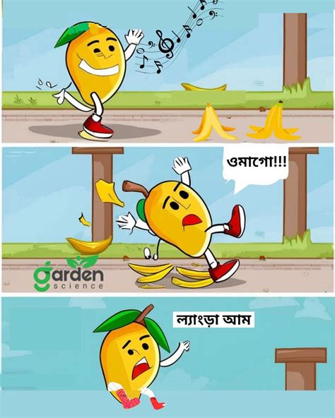 Garden ল্যাংড়া আম খাবেন ভালো কথা। কিন্তু এই ল্যাংড়া আম সৃষ্টির পেছনে রয়েছে এক করুন ইতিহাস