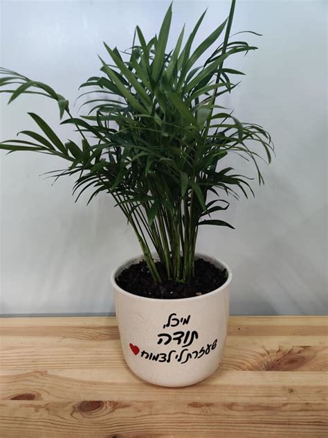 השבוע היינו עסוקים בהכנת המון מתנות לצוות החינוכי בתמונות יש מידגם