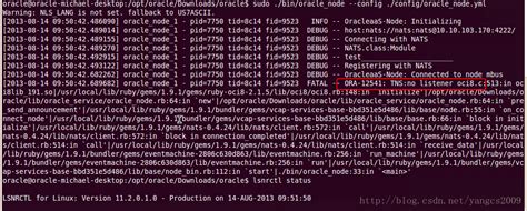 Ubuntu下oracle问题 Ora 12541 Tnsno Listenerubuntu 用不了listener Csdn博客