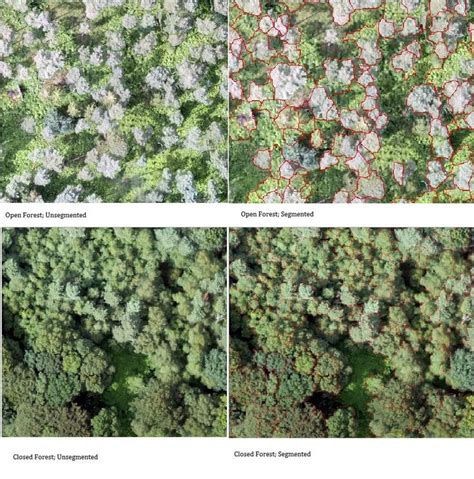 Open And Closed Forest Unsegmented And Segmented Download Scientific Diagram