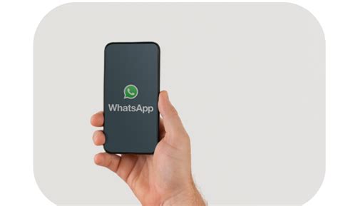 C Desarrolla Una Aplicación Crud Para Una Base De Datos Con Aspnet Core Mvc Programa En Línea