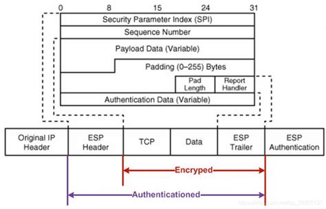 ipsec基本原理 csdn博客