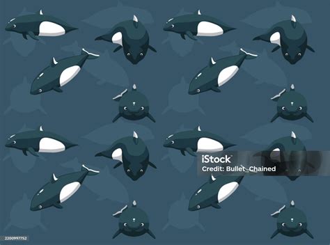 Sea Mammal Dalls Porpoise Cartoon Cute Seamless Wallpaper Background Stock Illustration