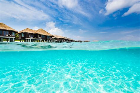 🔥 Sheraton Maldives Full Moon Resort And Spa Erfahrungen Preise 2024