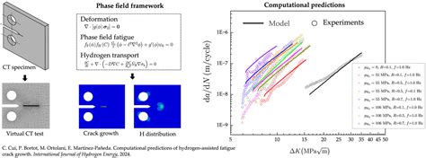 Computational Predictions Of Hydrogen Assisted Fatigue Crack Growth Thomas Young Centre