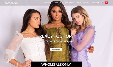 Brizzo Reviews View Portfolios Designrush