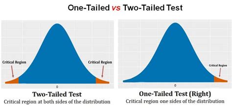 Hypothesis Testing Questions And Answers Easybiologyclass