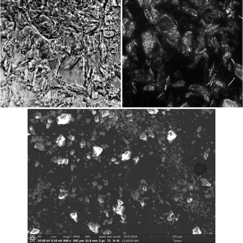 Differential Interference Contrast Microscopy Top Left Polarized Download Scientific Diagram