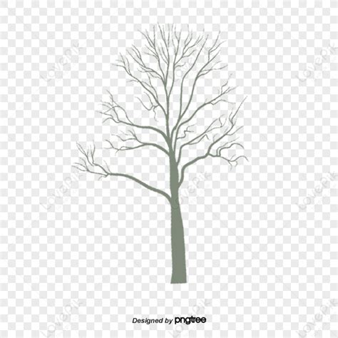 Bare Tree Silhouette Png