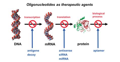 About Center ｜ Nucleic Acid Drug Discovery Center The Research Institute For Science And
