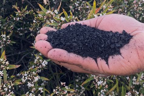 What Is Biochar Improve Soil Health With Biochar Food2soil