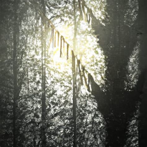 Npm S Toxic Love Affair Malicious Package Pairs Uncovered The Nimble Nerd