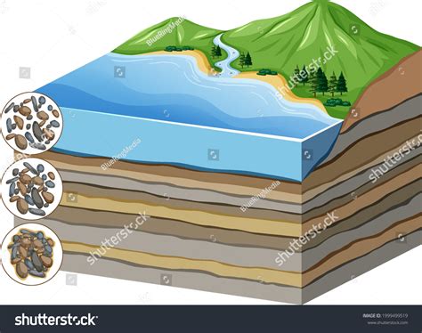 Diagram Showing Process Compaction Cementation Layers Stock Vector Royalty Free 1999499519