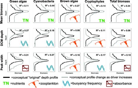 Conceptual Figure Illustrating Results Of The Regression Tree Analysis