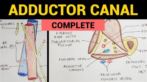 Adductor Canal