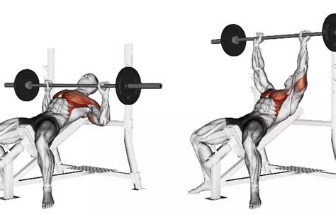 Incline Bench Press Incline Bench Press Form Check