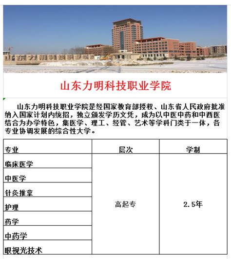 山东力明科技职业学院 泰山教育