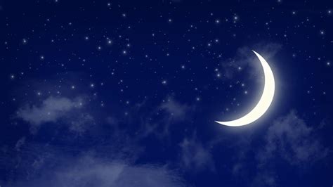 Penn State Altoonas Ivyside Pride To Perform ‘night And Dreams Penn