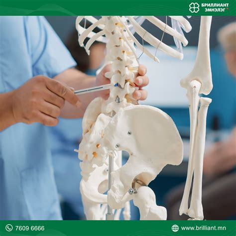 Бриллиант Нуруу нугасны үзлэг зөвлөгөө эмчилгээ мэс засал Нурууны нугалам хоорондын