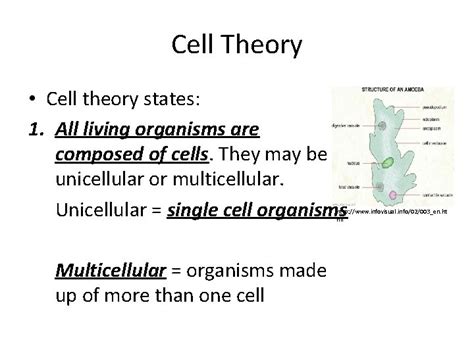 Cell Theory Cell Theory Cell Theory States 1